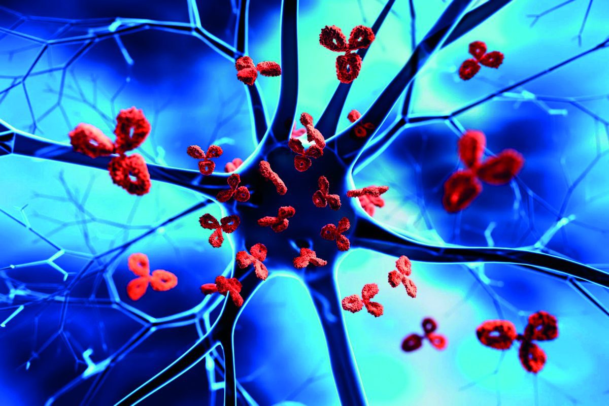 Novel Insights into Autoimmune Illnesses – ScienceIndiamag