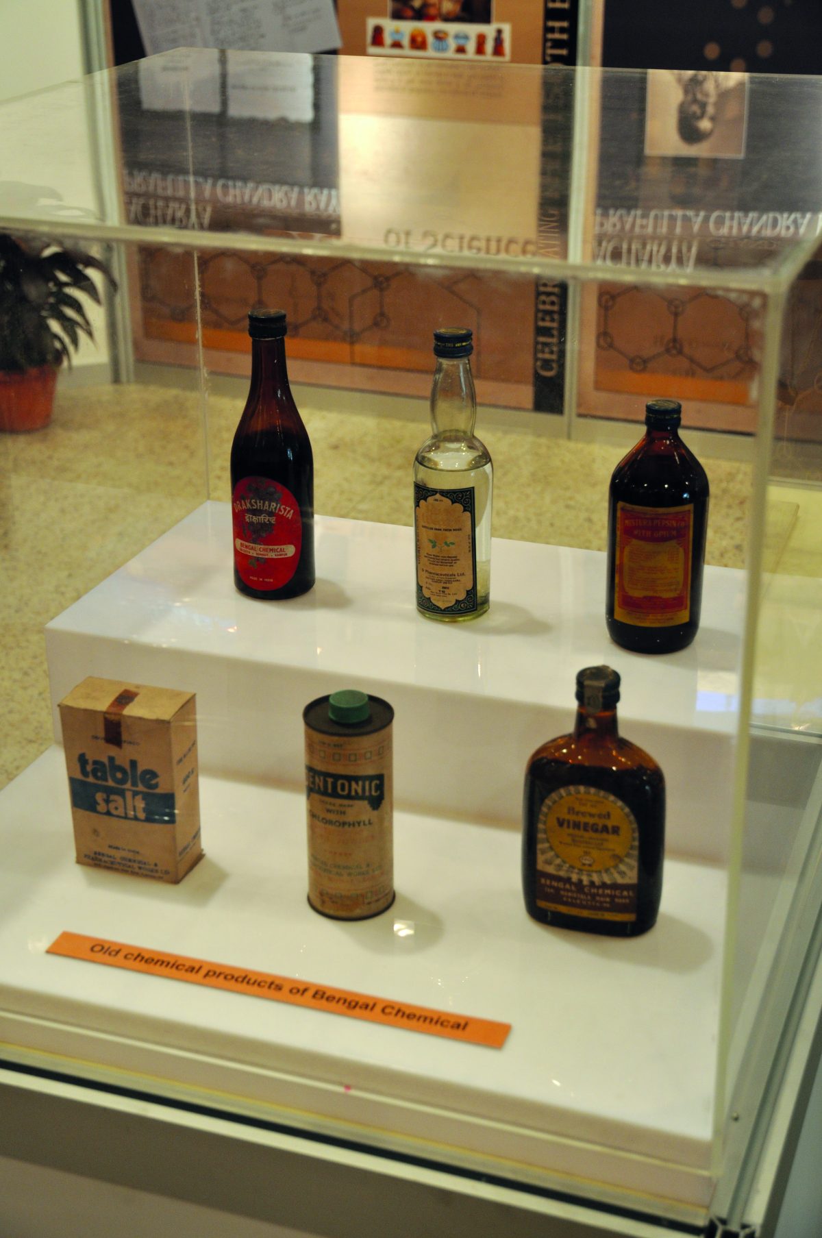 Indigenous Technology for Viksit Bharat – ScienceIndiamag