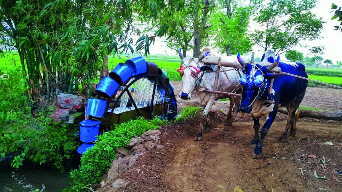 Reviving Indigenous Farming Techniques for Sustainable Living ...