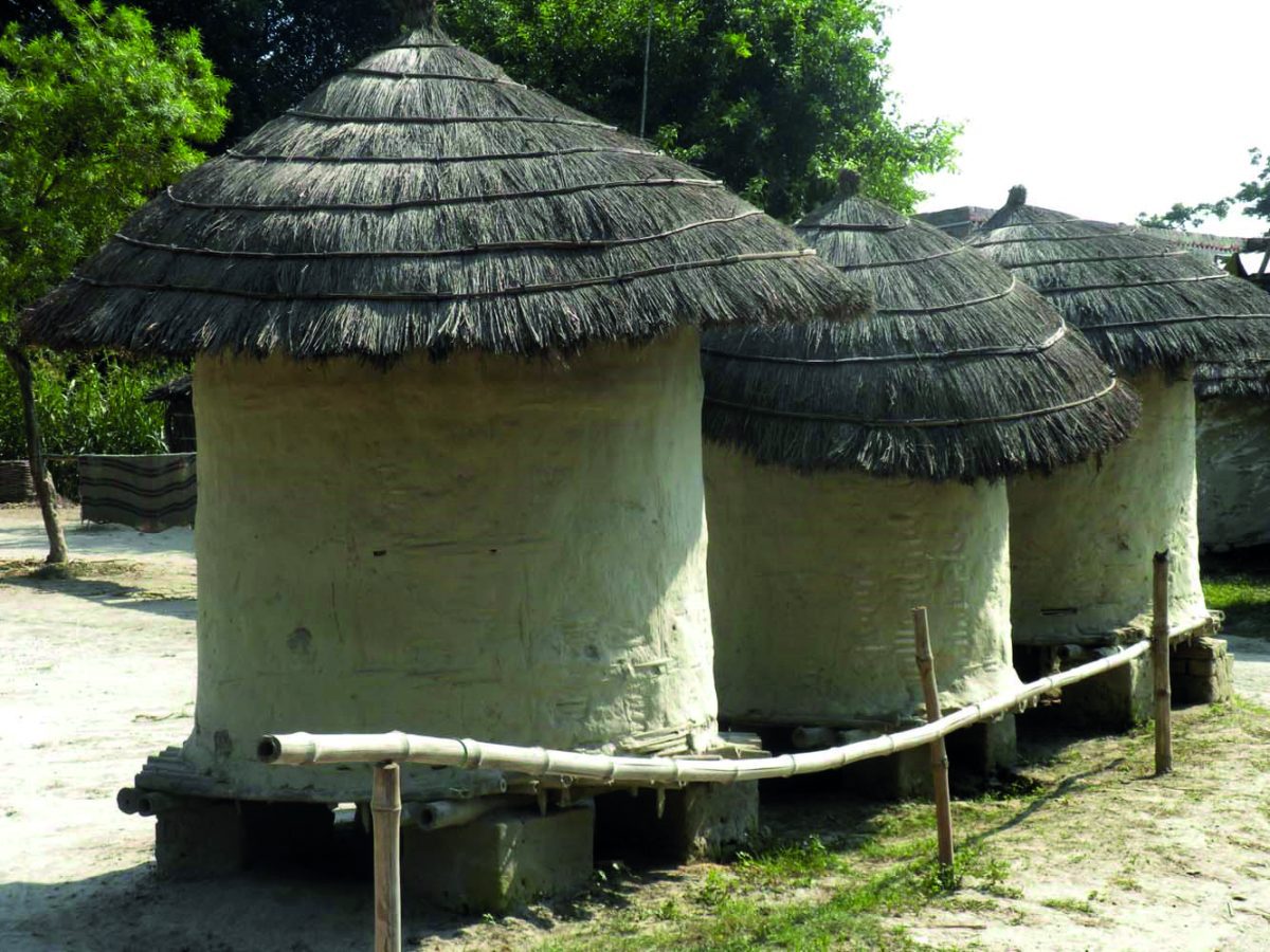 Reviving Indigenous Farming Techniques for Sustainable Living ...