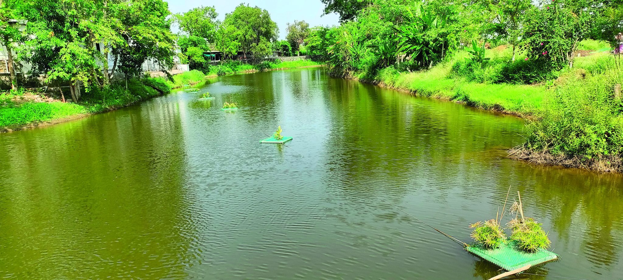 Constructed Wetlands: Sustainable Solution to Save Natural Water Bodies ...