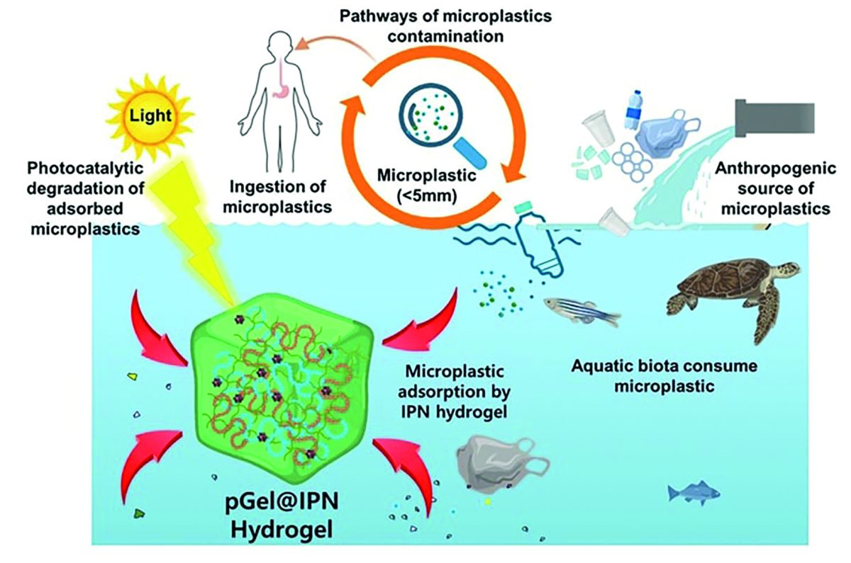 Innovation to Remove Microplastics from Water – ScienceIndiamag