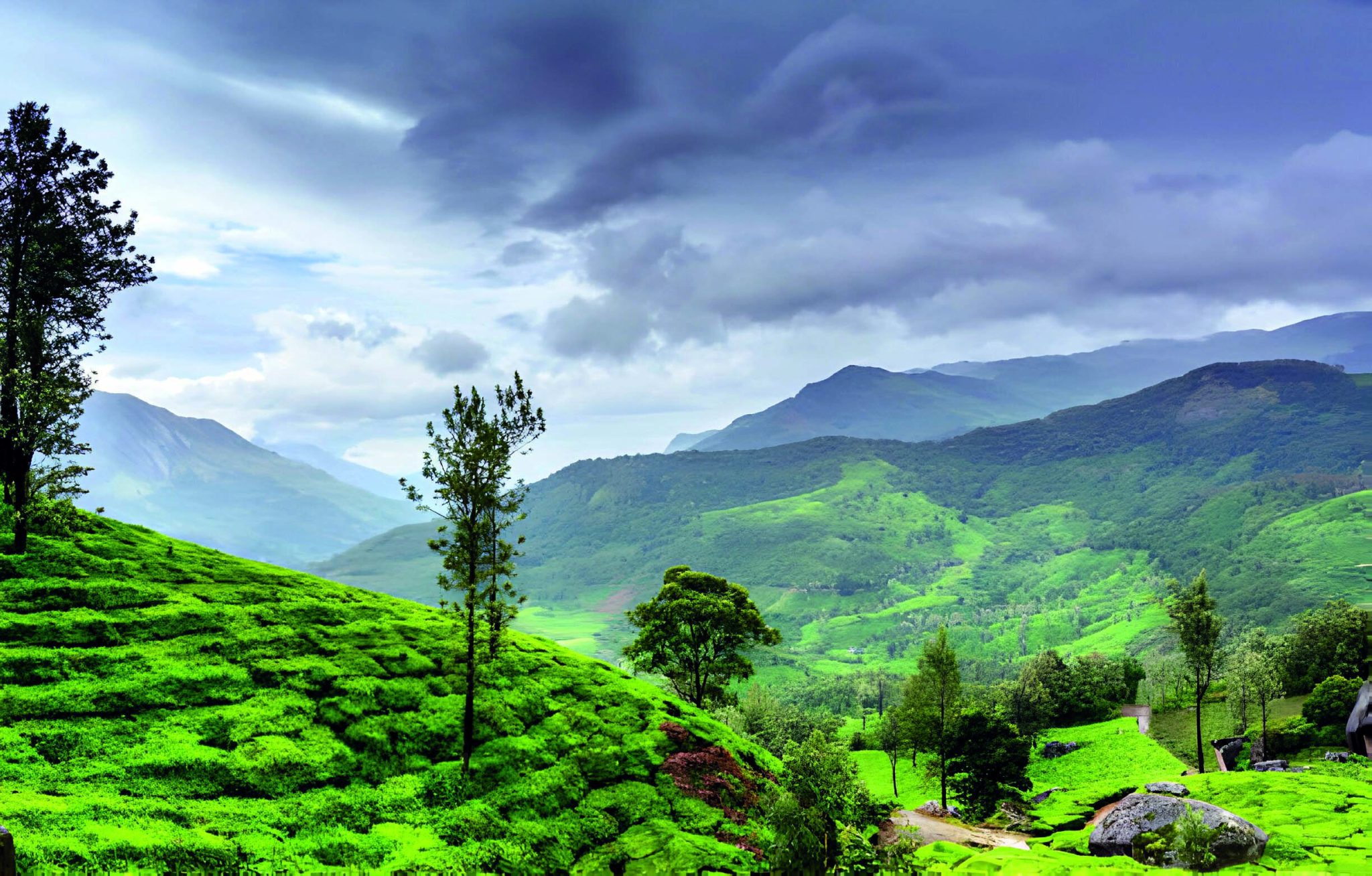 The Living Heritage of Western Ghats – ScienceIndiamag