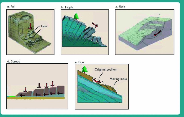 The Living Heritage of Western Ghats – ScienceIndiamag