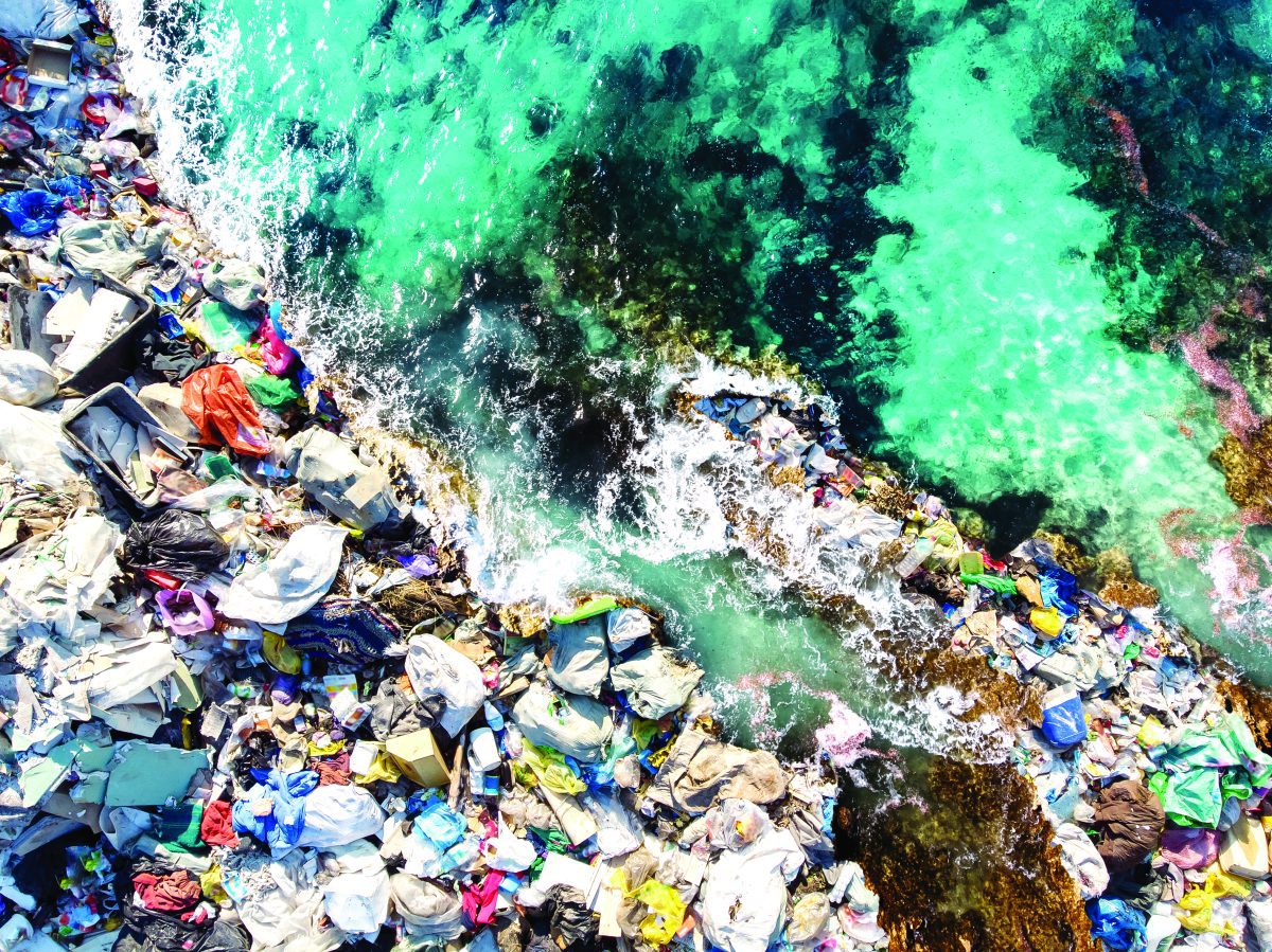 The Global Menace of Marine Plastic Pollution – ScienceIndiamag